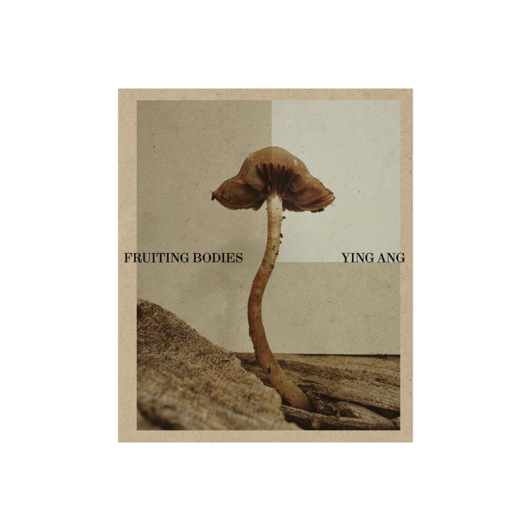 Fruiting Bodies - Ying Ang - térmita